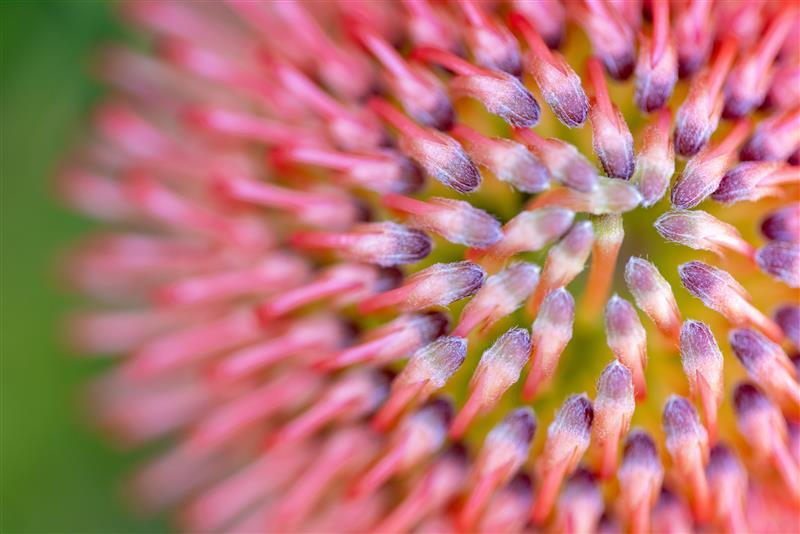 Who we are - Johnson Winter Slattery