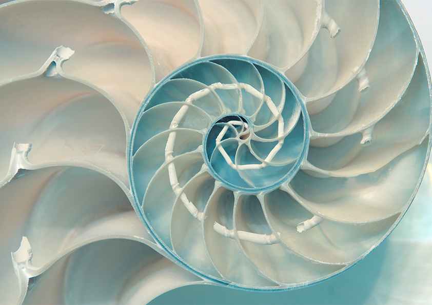 Work with us - Johnson Winter Slattery